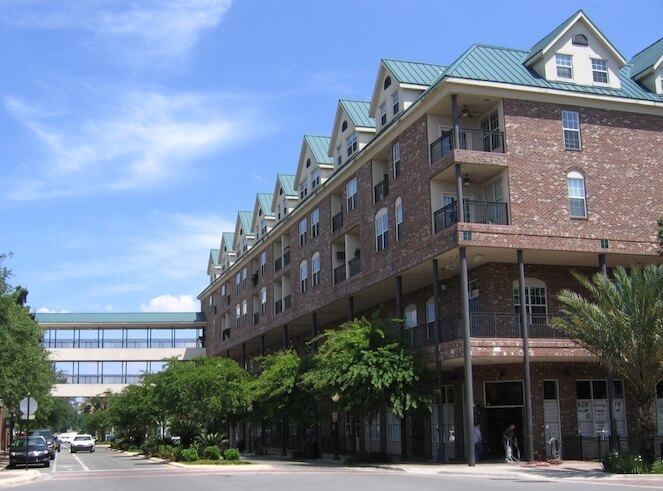 Top Fun Things to Do in Gainesville For Your Florida Trip