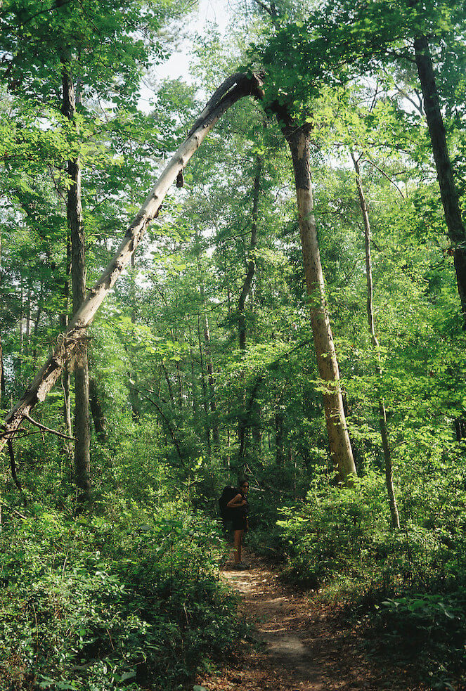 12 Day Trips in Houston You Should Take - For Travelista