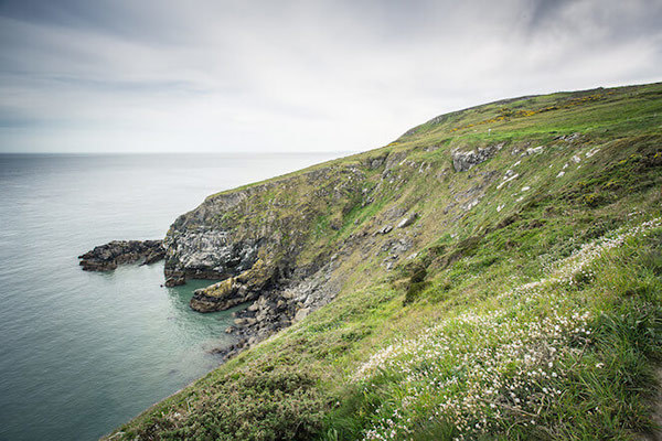 What Is the Best Time To Visit Ireland? This Article Knows What You Don’t!
