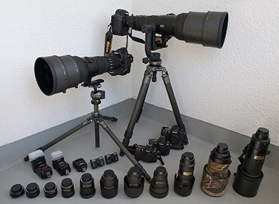 Top 5 Best Camera For Wildlife Photography in 2021 - ForTravelista